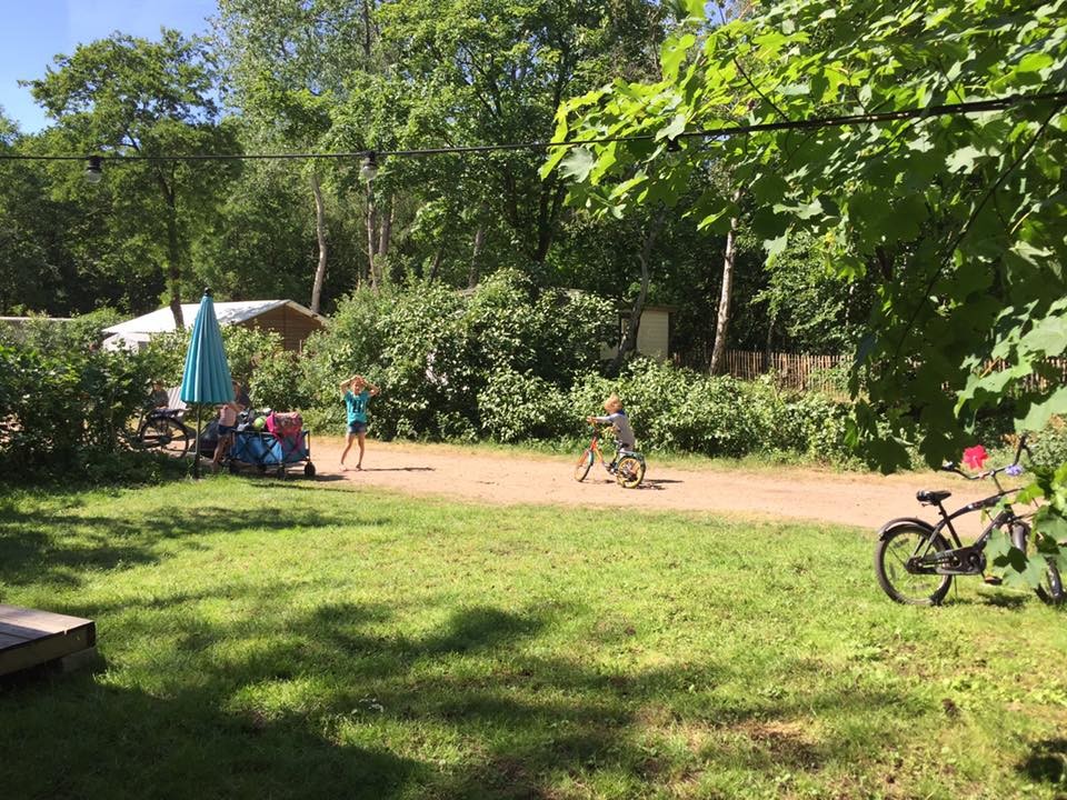 Luxe tophuisje, rustige plek, bos, zon.